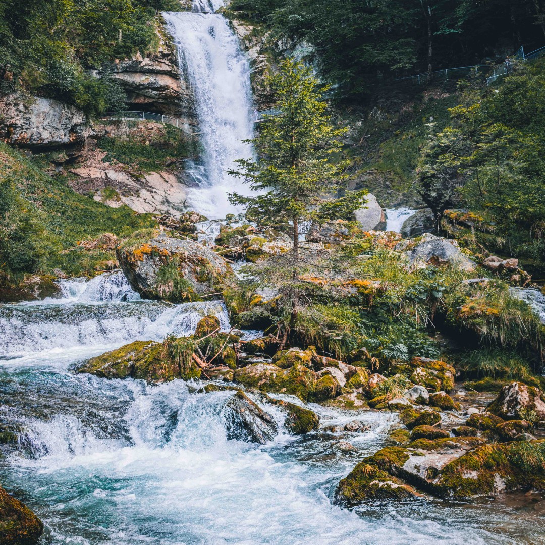 X2M Connect secures new contracts - X2M Connect